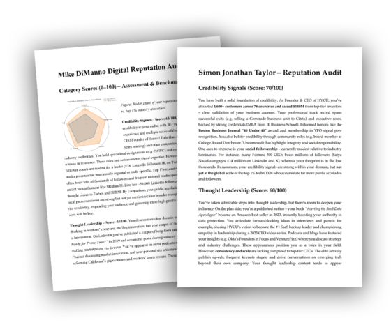 Reputation Audit Show Worx Ai